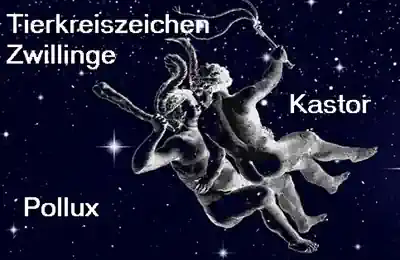 Pollux und Kastor (Dioskuren, Mythologie): Zwillinge